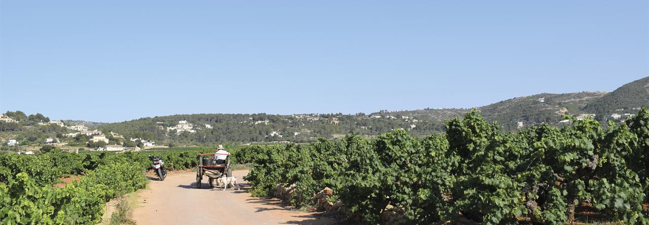 A Paradise between mountains. Parcent, Costa Blanca | Local News